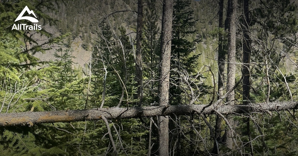 MBNF - Snowy Range | List | AllTrails