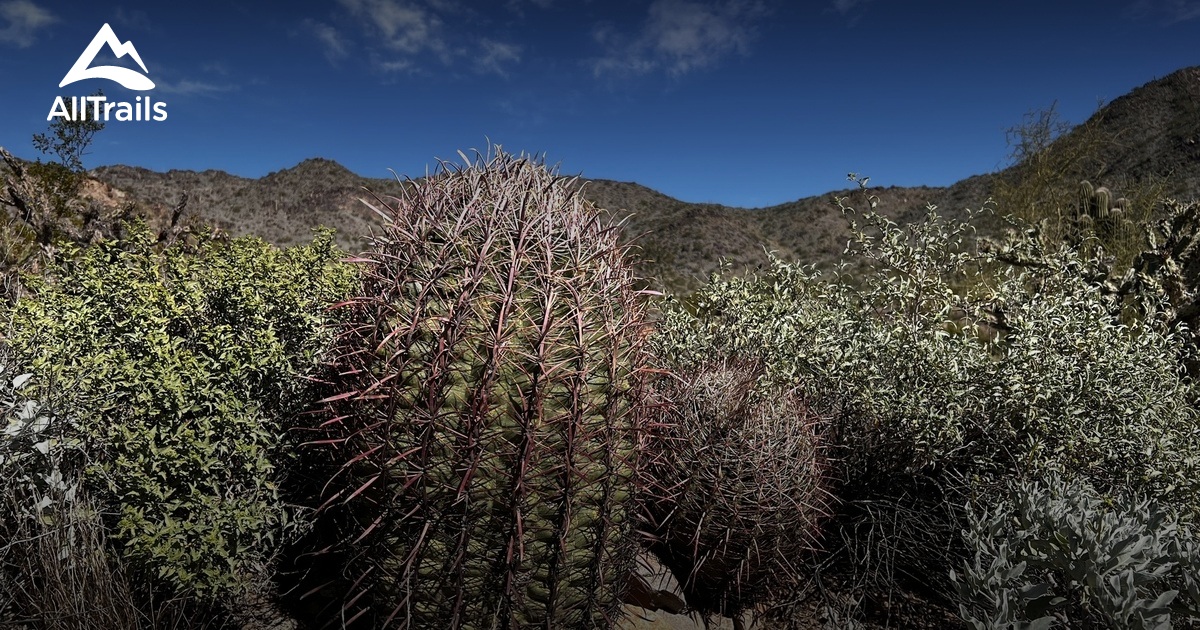 Verrado dog friendly trails | List | AllTrails