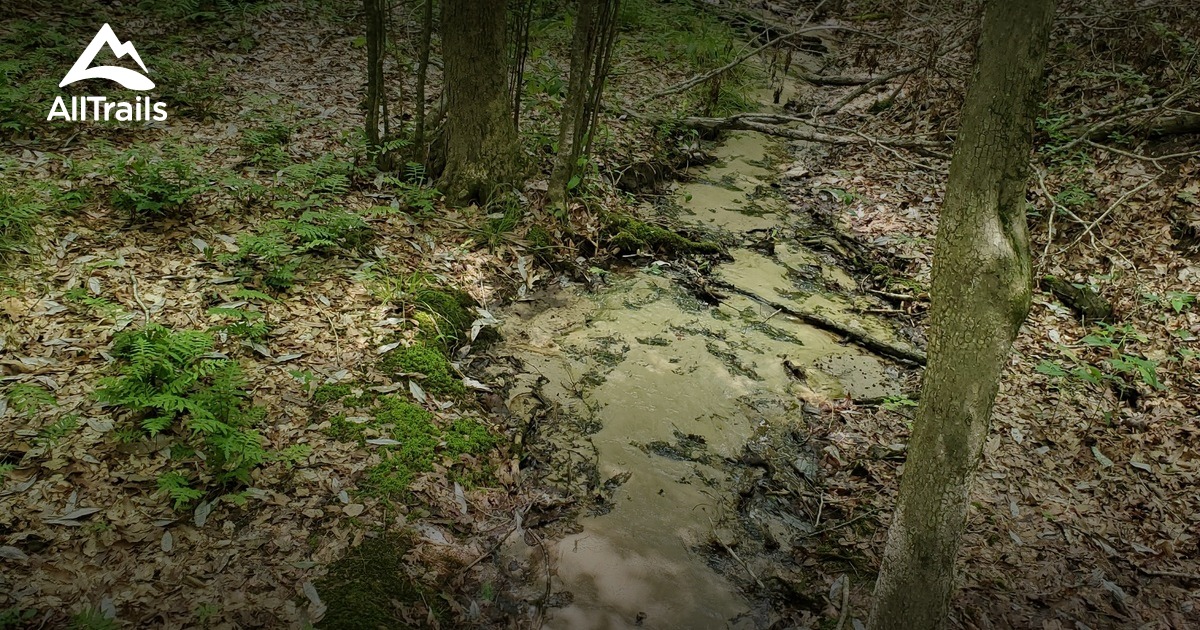 Bud and Dawn's 2021 Hikes | List | AllTrails
