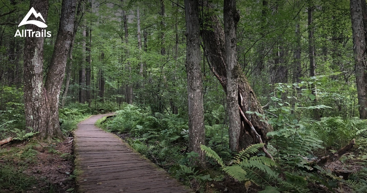 Walks around Ottawa | List | AllTrails