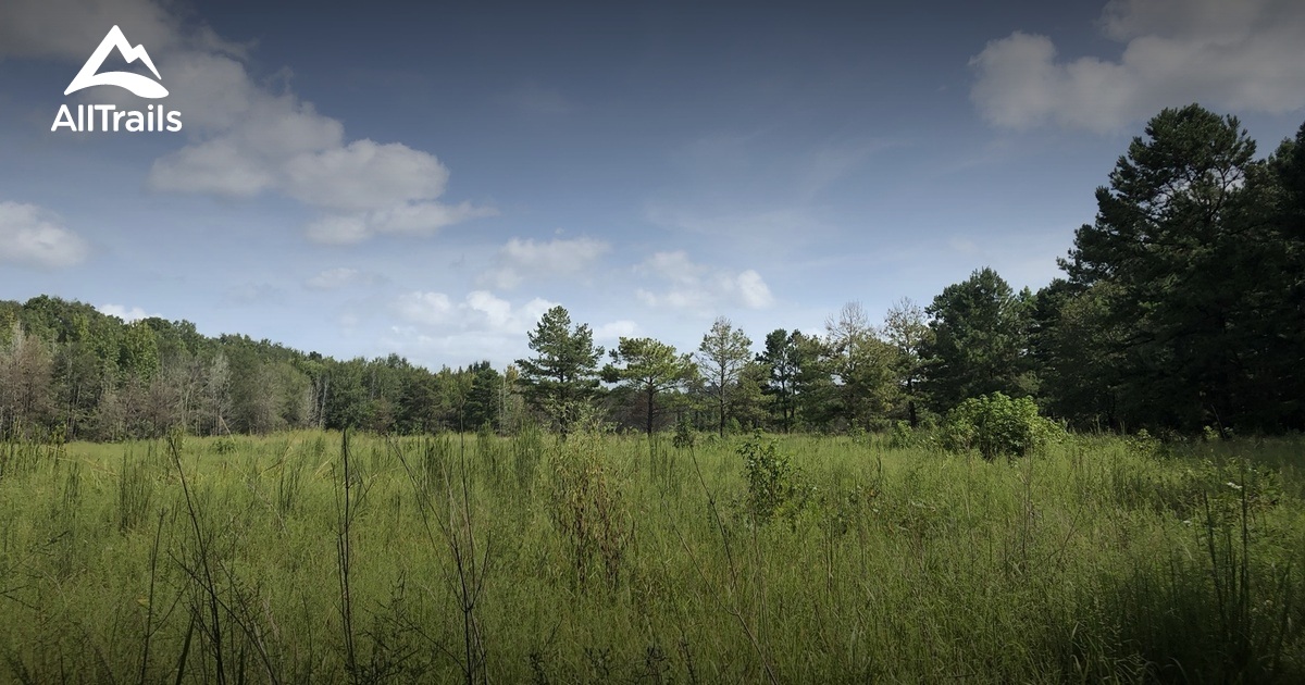 Mission Tejas st park | List | AllTrails