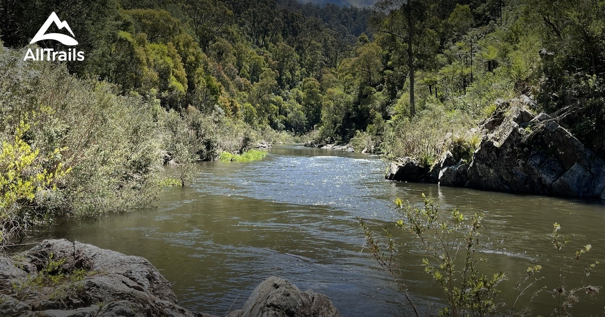 Australian Alpine walking track | List | AllTrails
