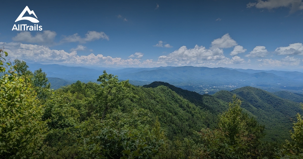 NC Loop Trails | List | AllTrails