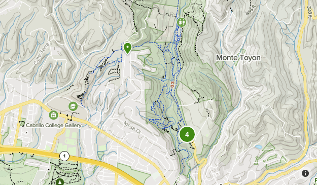 Nisene Marks Trails | List | AllTrails