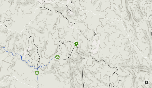 Fog walks | List | AllTrails