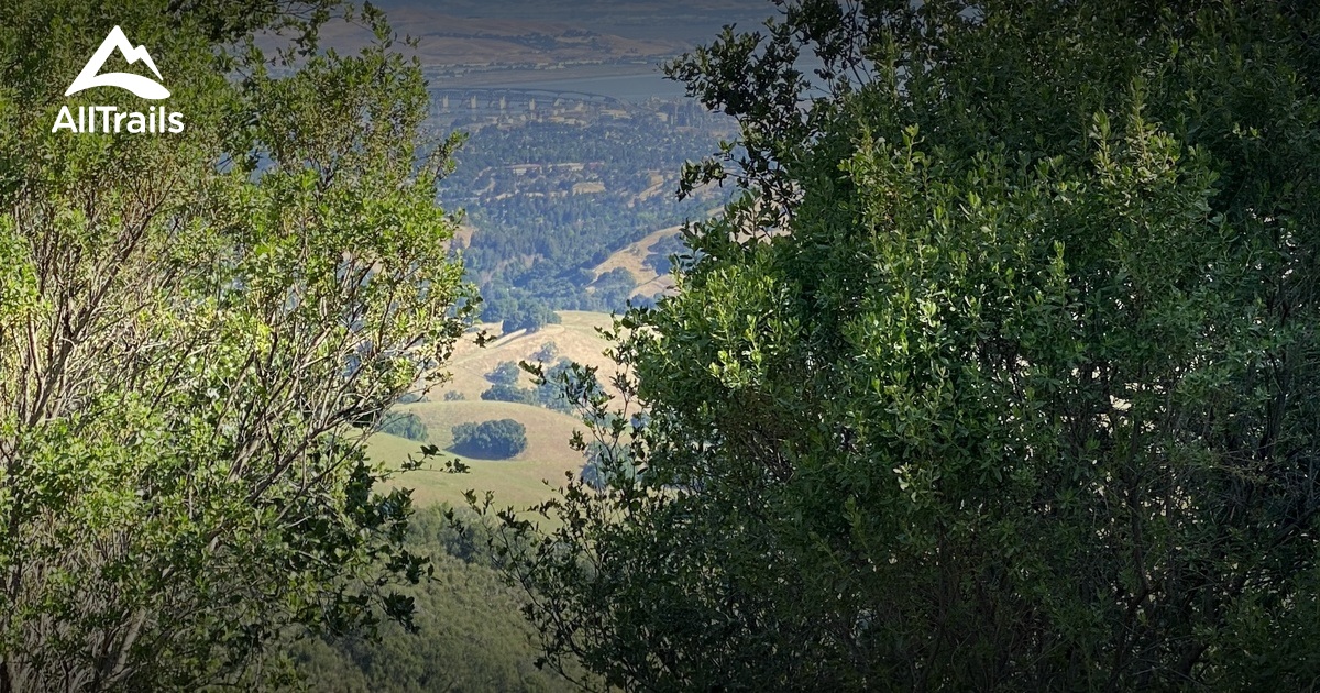 Briones Regional Park | List | AllTrails