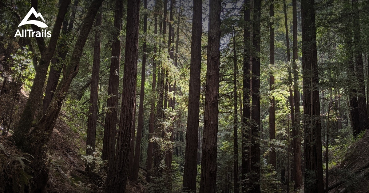 1 hr from Brisbane | List | AllTrails