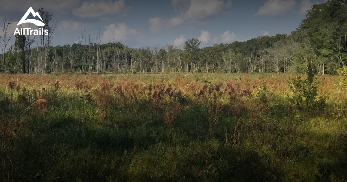 conestee | List | AllTrails