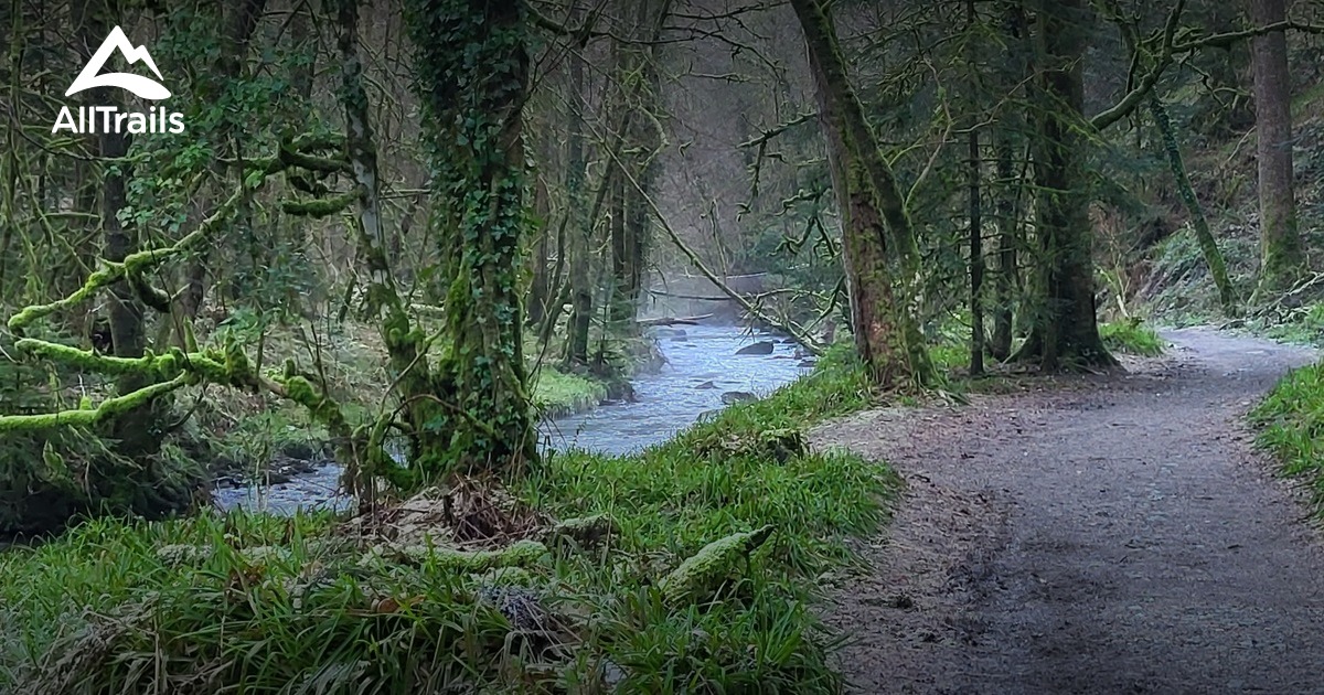 Best Gorge Walking in the UK | List | AllTrails