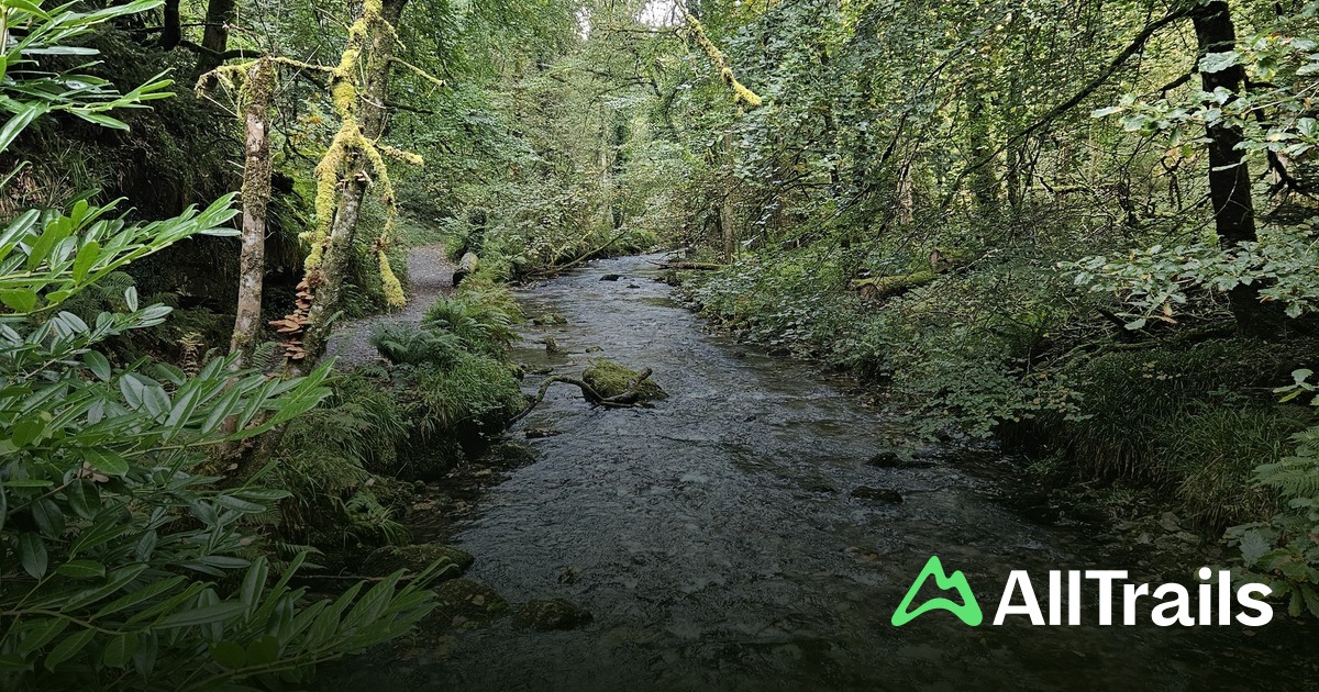 Best Gorge Walking in the UK | List | AllTrails