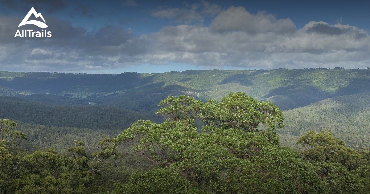 Kokoda Challenge Trails | List | AllTrails