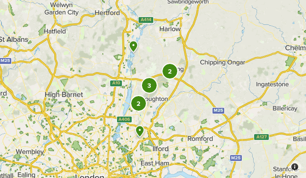 Best Epping Forest Walks | List | AllTrails