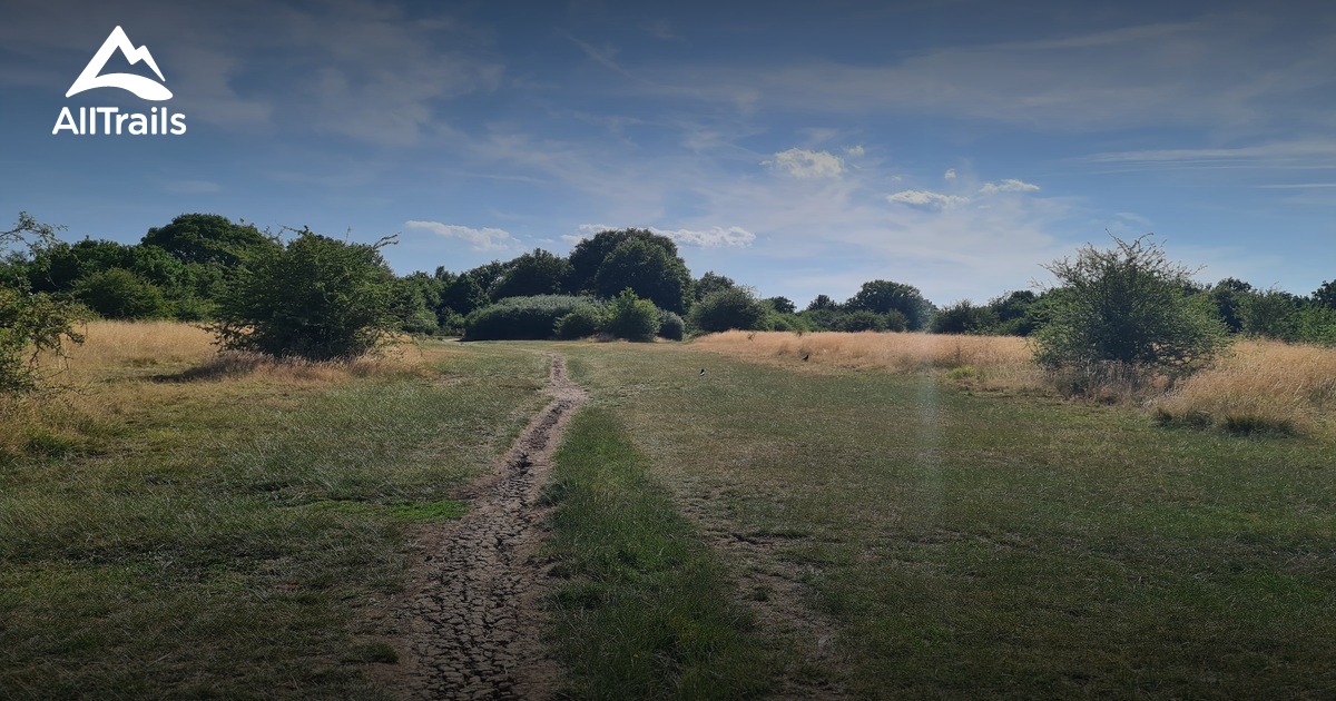 Best Epping Forest Walks | List | AllTrails