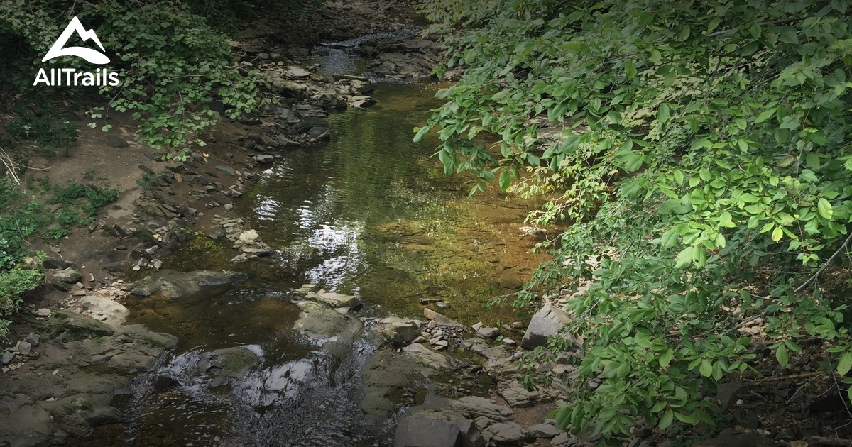 Aqua staff hike options | List | AllTrails