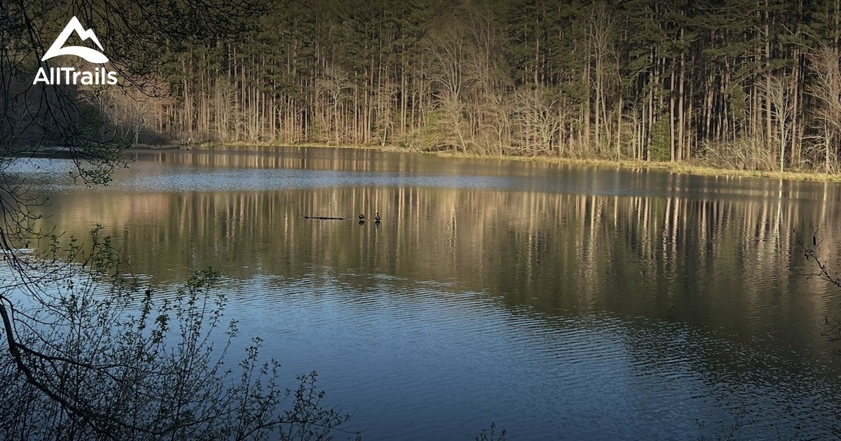 Lake Russell WMA Area | List | AllTrails