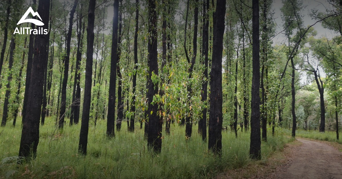 Bunyip State Park | List | AllTrails