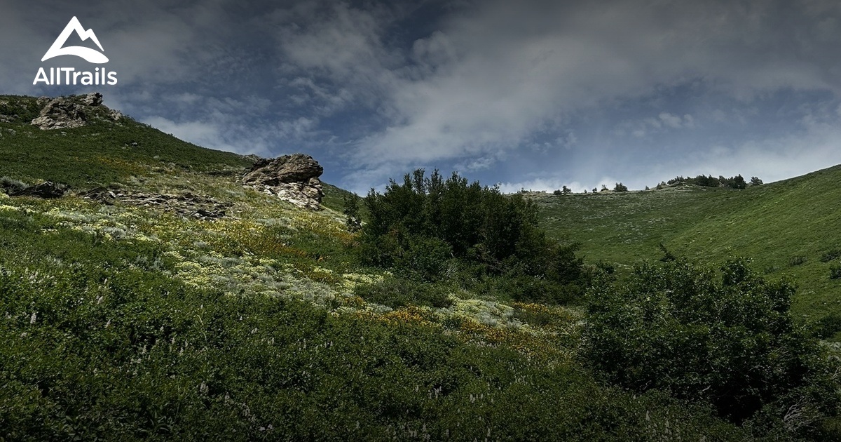 2021 - Z Maps | List | AllTrails