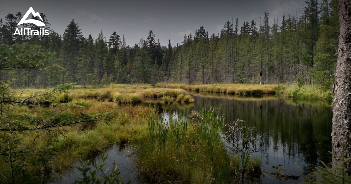 NH - Great North Woods | List | AllTrails
