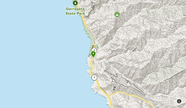 garrapata state beach (Calla Lilly) | List | AllTrails