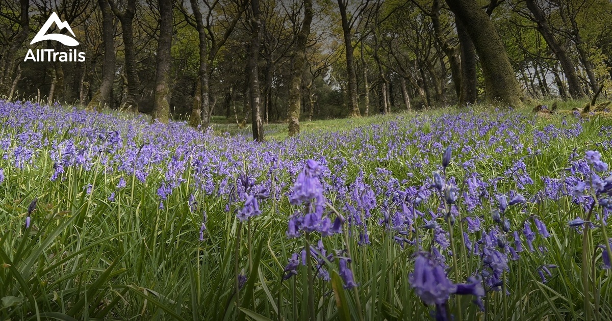 Coni birthday | List | AllTrails