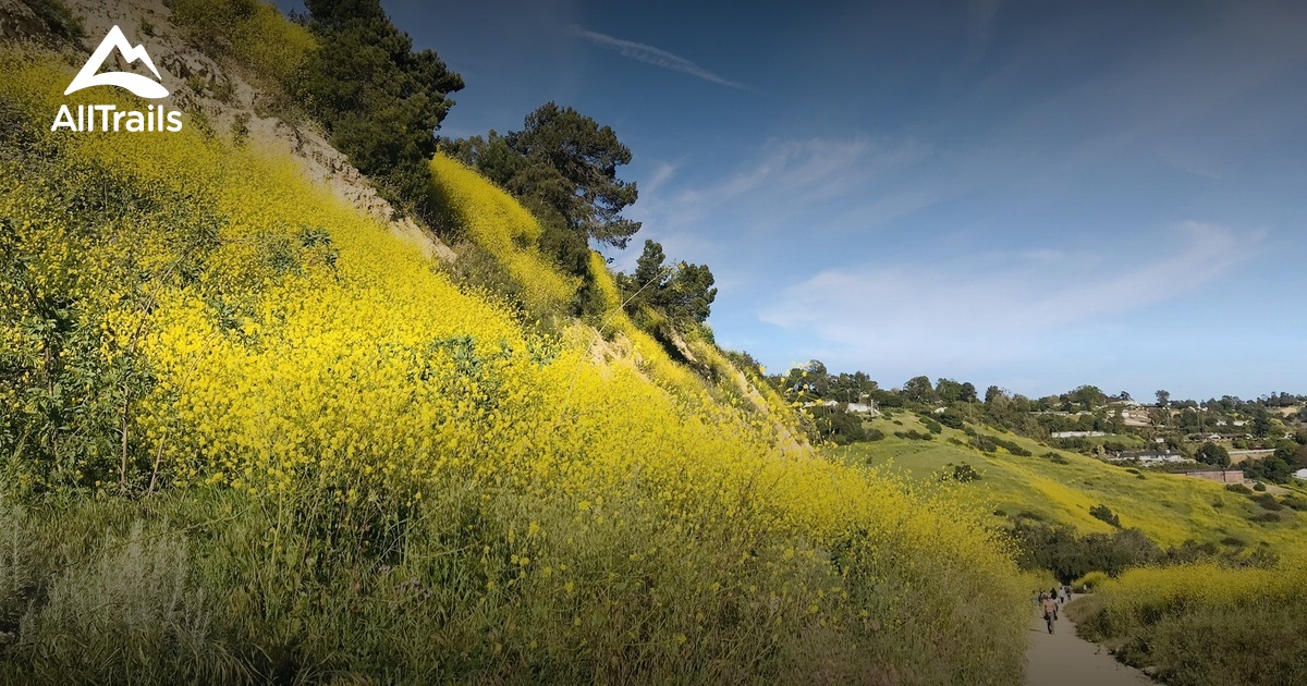 MICU hiking options | List | AllTrails