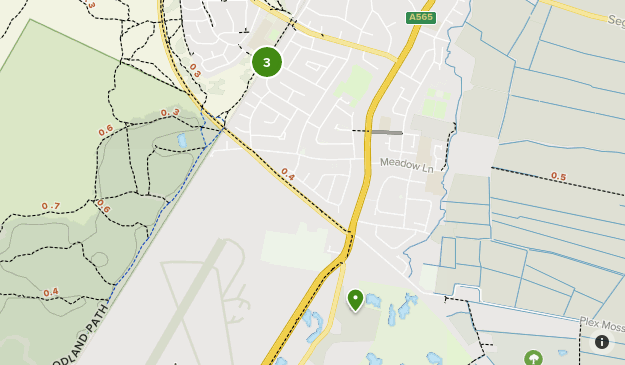 Ainsdale Sand Dunes Nature Reserve | List | AllTrails