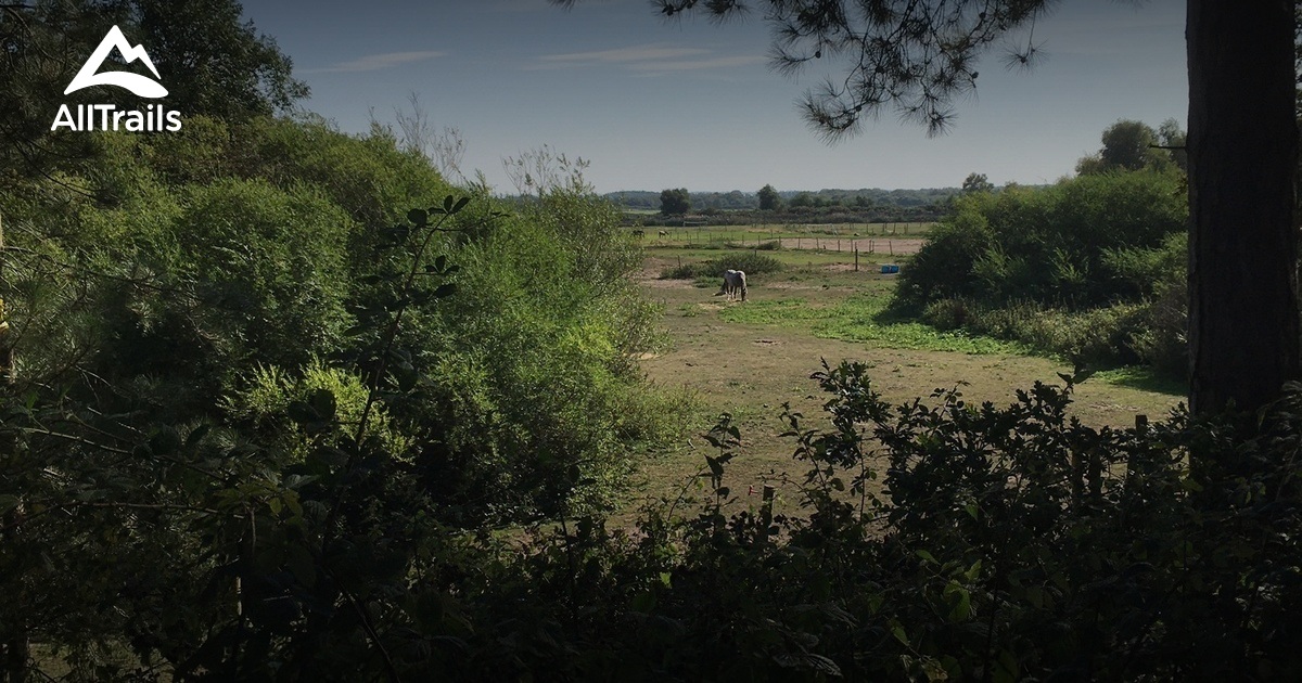 Ainsdale Sand Dunes Nature Reserve | List | AllTrails