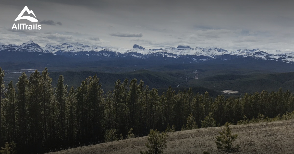 Forestry Trunk Road | List | AllTrails