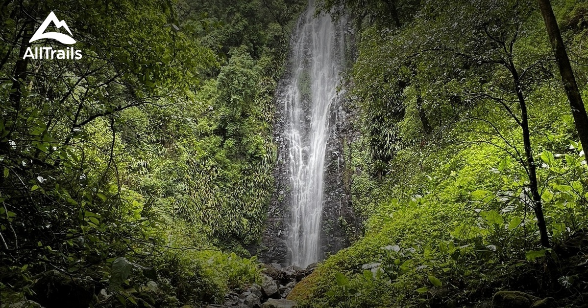 Gold Coast Hinterland | List | AllTrails