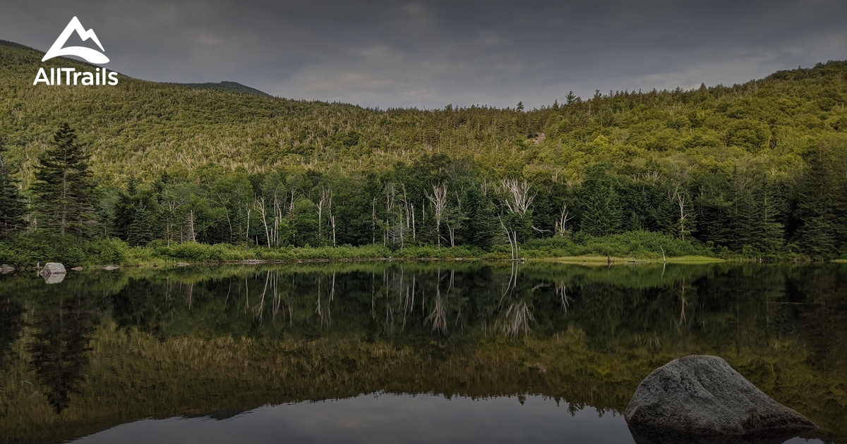 NH AMC Campsite | List | AllTrails