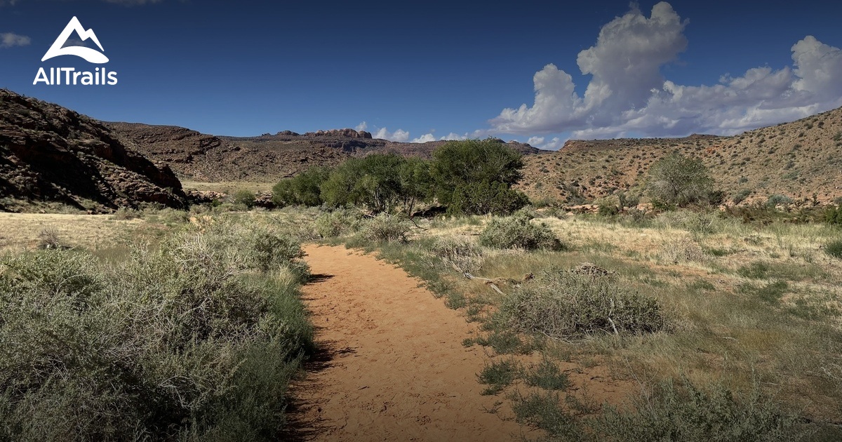 Moab trails with water | List | AllTrails