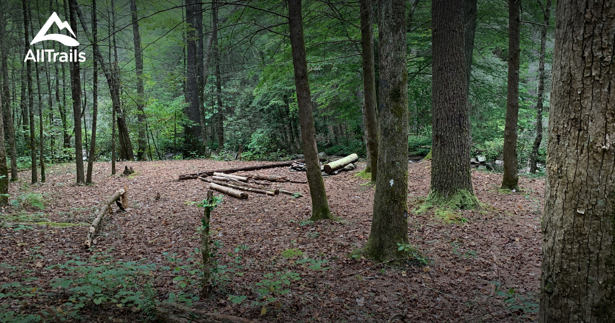 Georgia Backpacking Loops | List | AllTrails