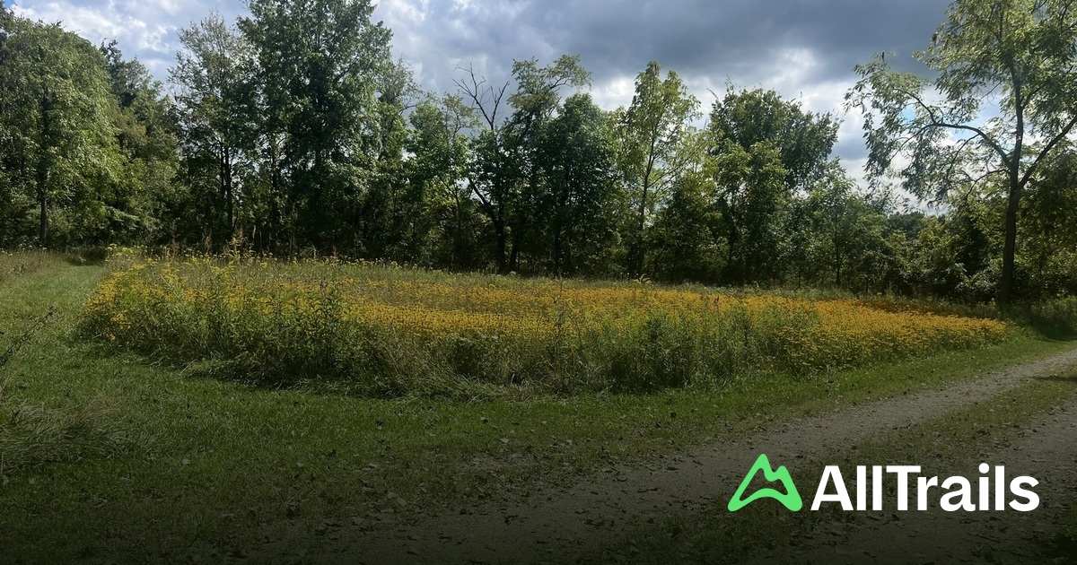 falcon guide trails | List | AllTrails