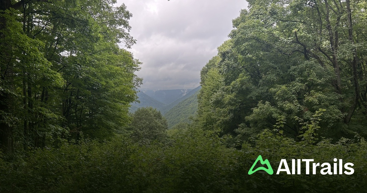 West Virginia Waterfall Trails | List | AllTrails