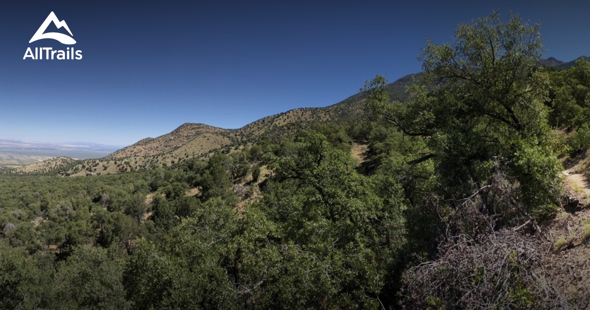Patagonia Lake SP area | List | AllTrails