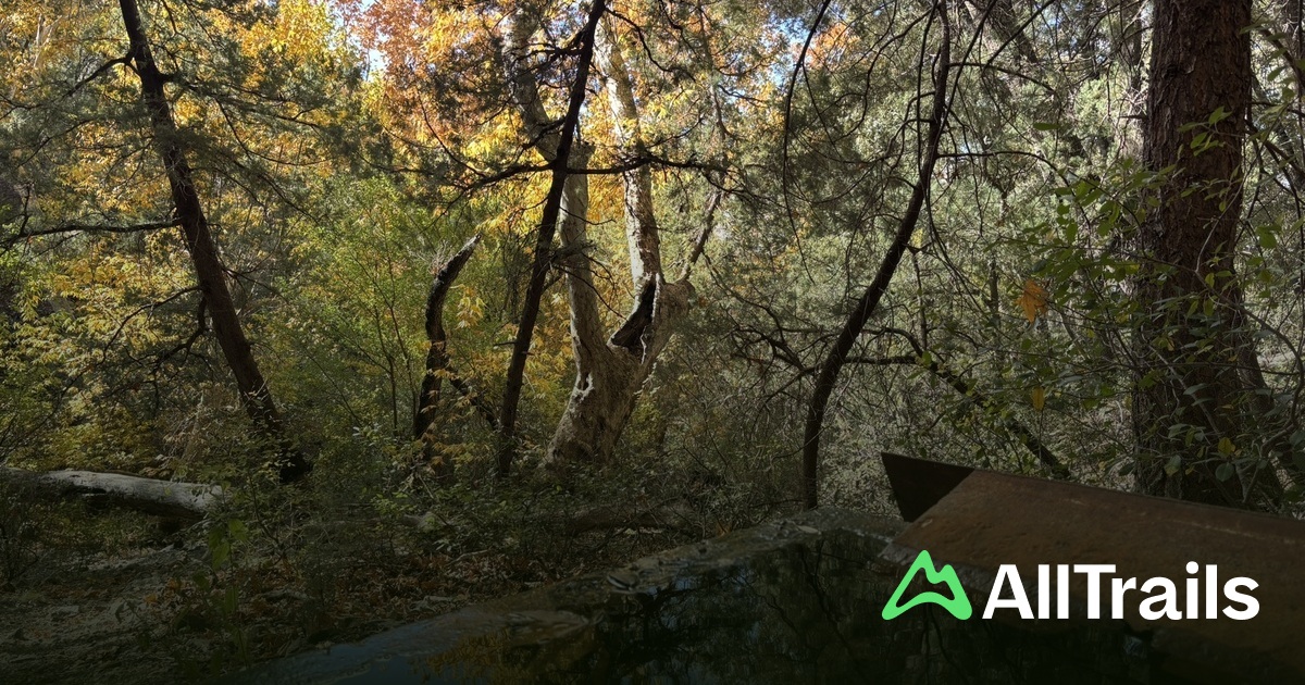 Patagonia Lake SP area | List | AllTrails