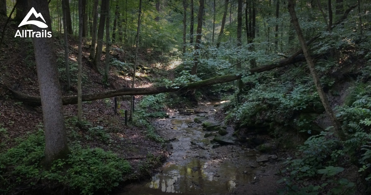 Potential Close Trails | List | AllTrails