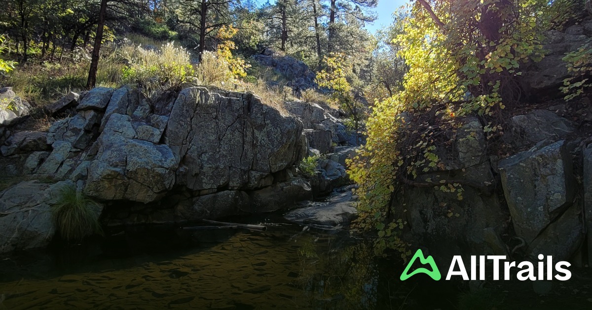 Heidi Day Ideas | List | AllTrails