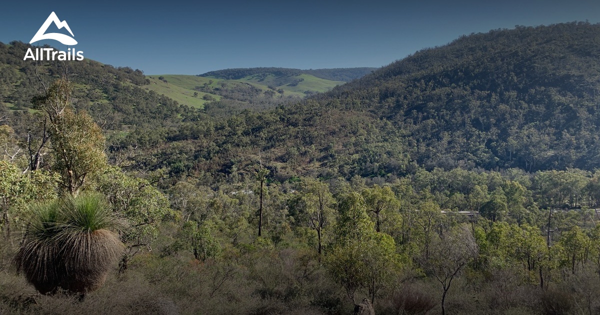Walyunga Walks | List | AllTrails
