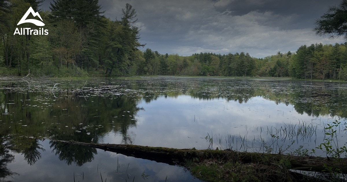 Easy Trails In NH | List | AllTrails