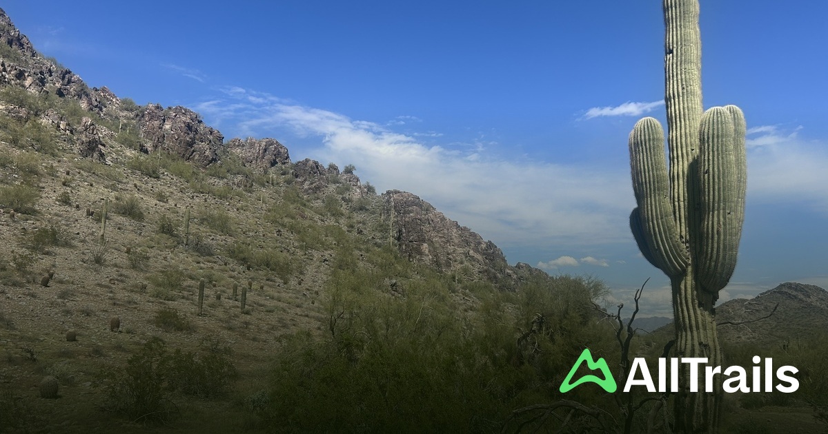 Beginner hikes near me | List | AllTrails