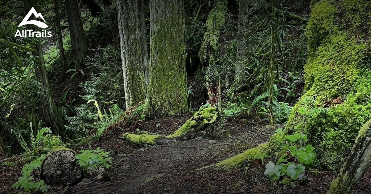 Taylor Shellfish Day Trip | List | AllTrails