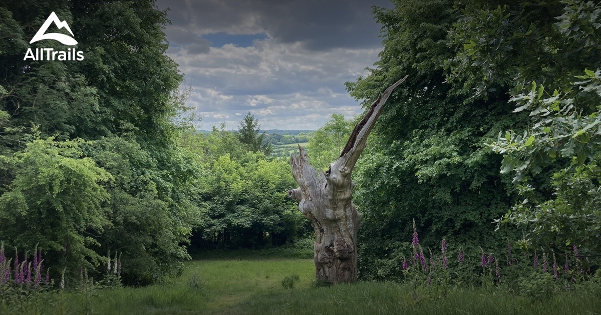 London (West Wickham) | List | AllTrails