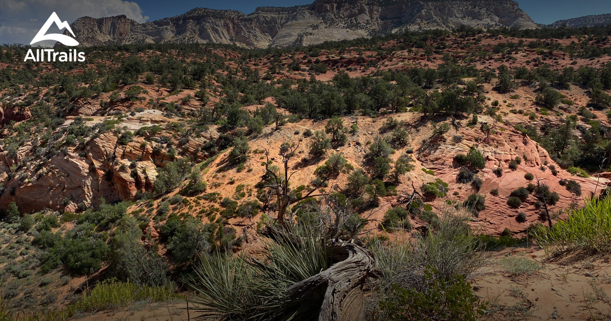 SW Utah 4/2021 | List | AllTrails