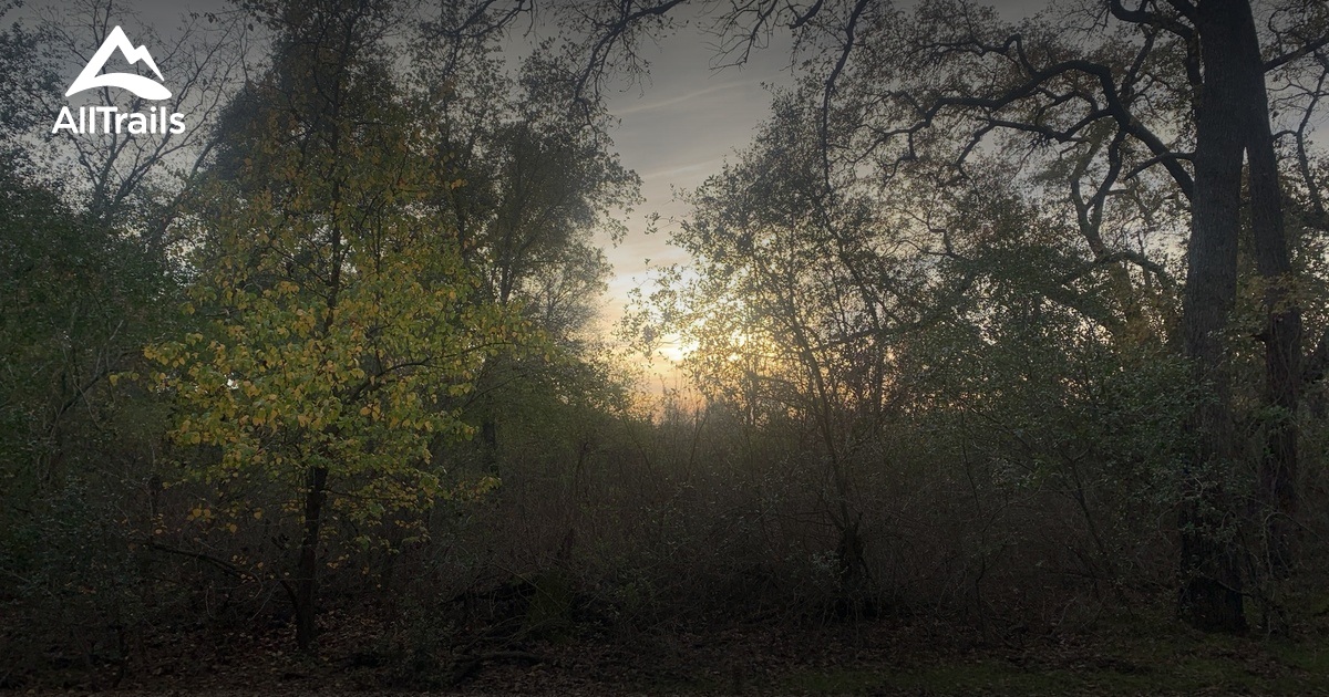 Humbug Willow Creek Trail Folsom | List | AllTrails