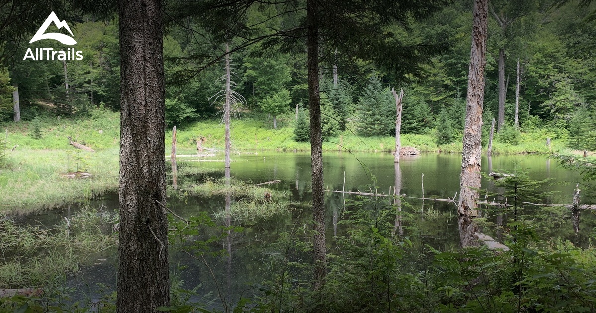 ADK Fire Tower Hikes | List | AllTrails