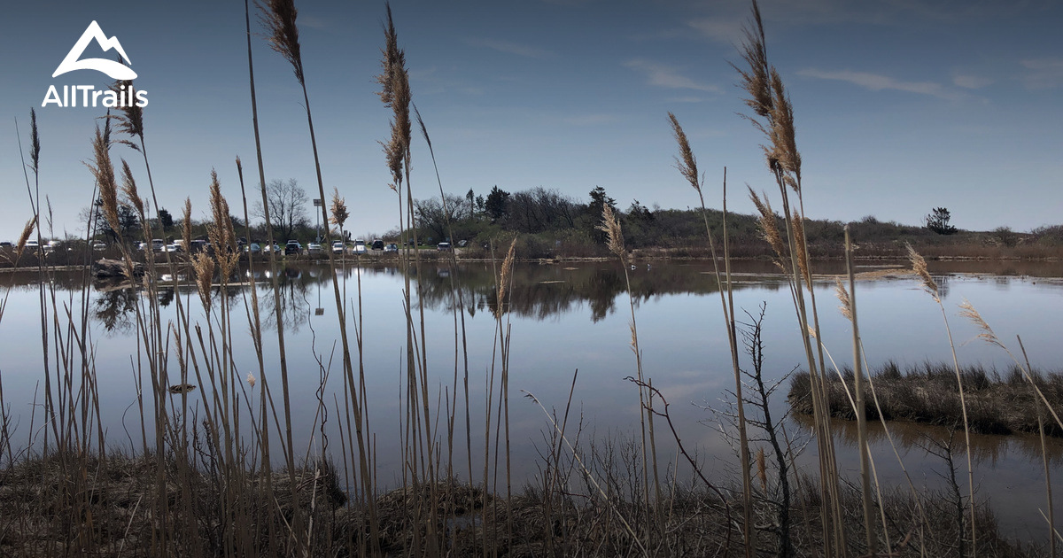 Hammonasset Beach State Park | List | AllTrails