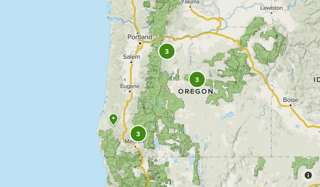 Oregon Turkey Areas | List | AllTrails