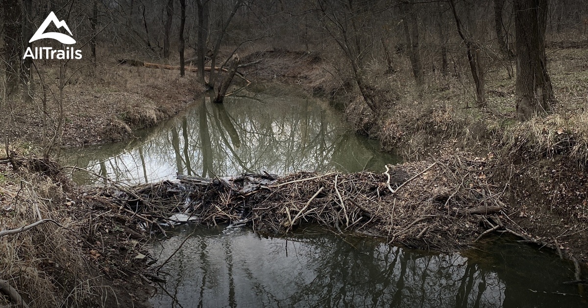 Money Island | List | AllTrails