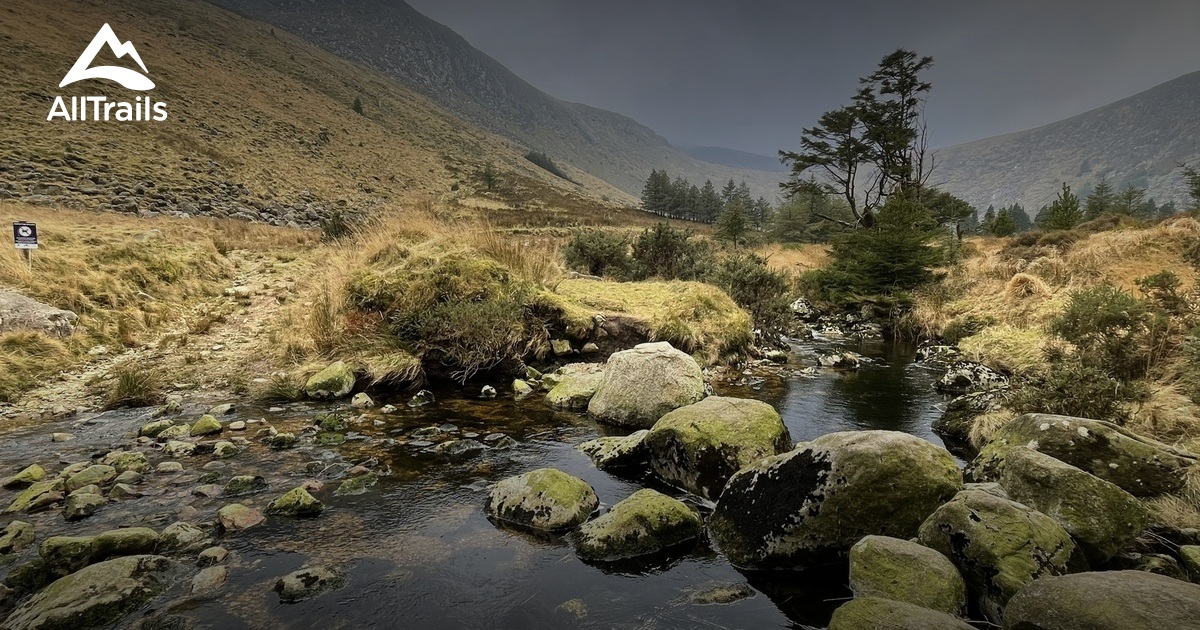 Wiklow | List | AllTrails